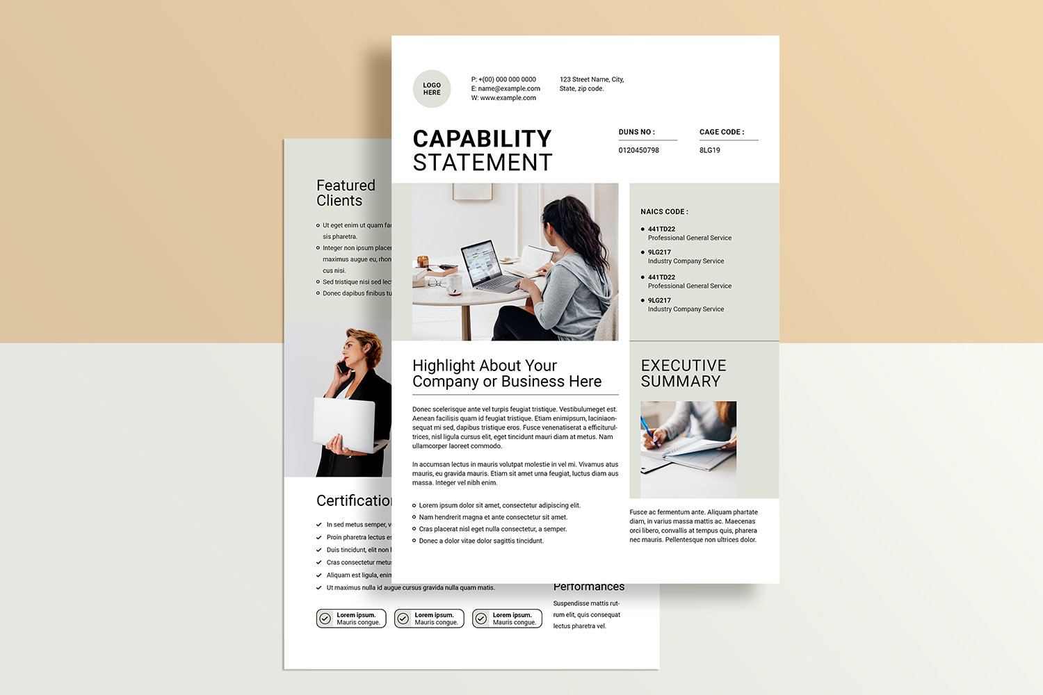 Professional Capability Statement Template – Customizable Designs. Ms ...