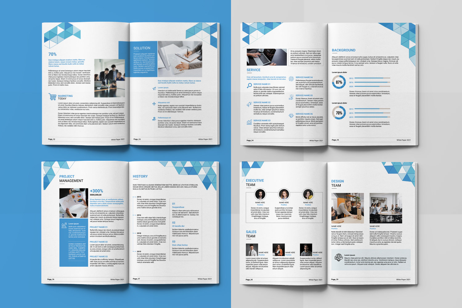 Business White Paper Template , Corporate Brochure | MS Word and ...