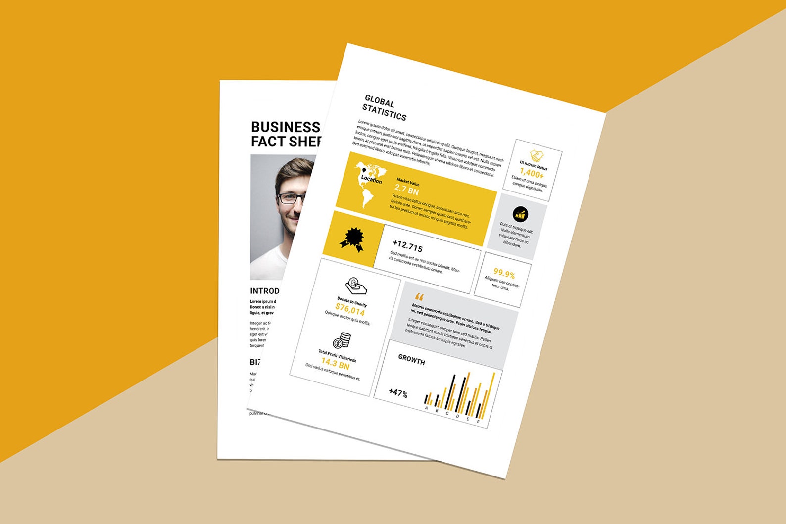 Business Fact Sheet Template: Editable Company Overview (A4 & US Letter ...