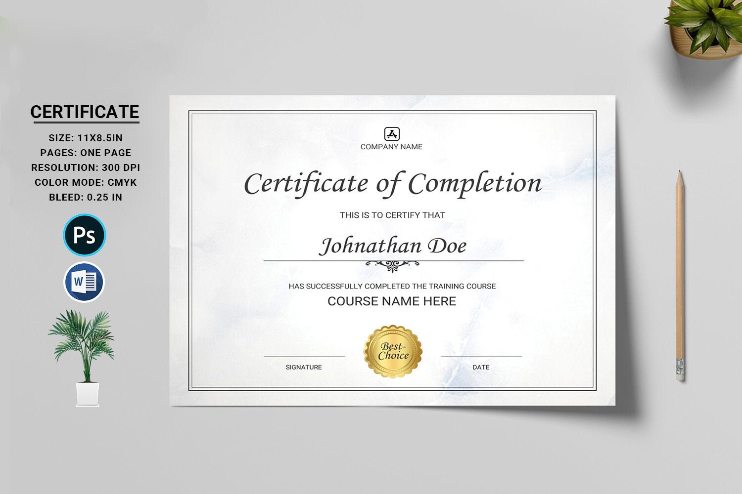 Certificate Template Printable Certificate of Completion MS - Etsy Canada