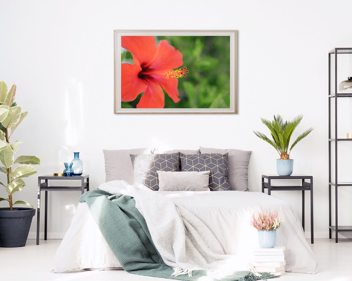 Hibiscus Flower, Hibiscus Print, Hibiscus Wall Art, Tropical Print ...