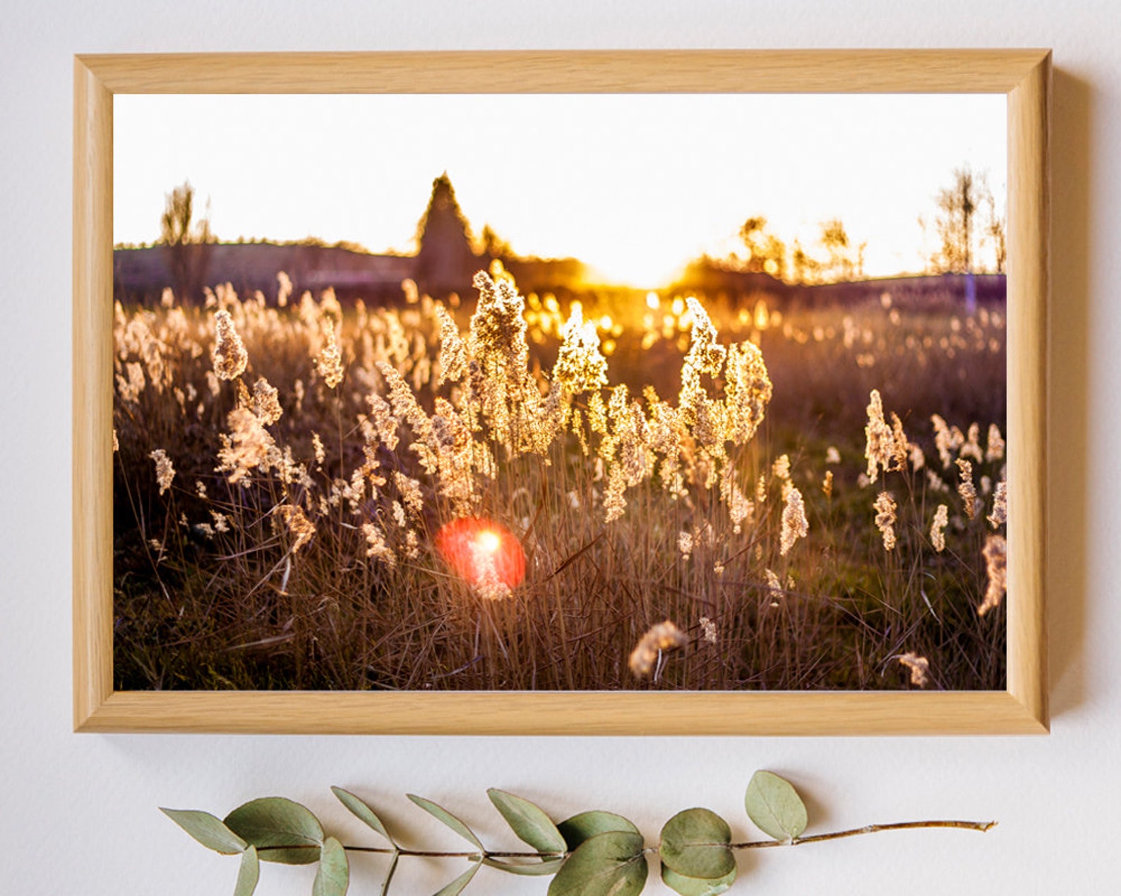 Sunset Art Rays of Sun Sunlight Sunlight Photography - Etsy