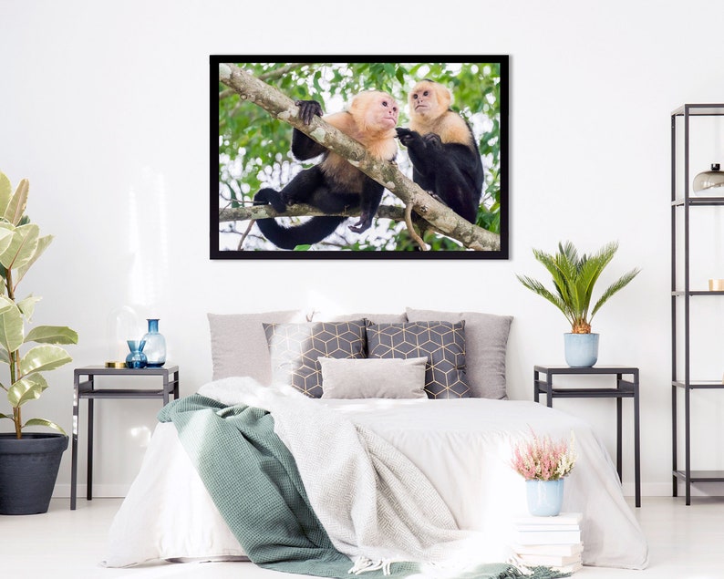 Monkey Photography, Monkey Photo Print, Monkey Wall Art Print ...