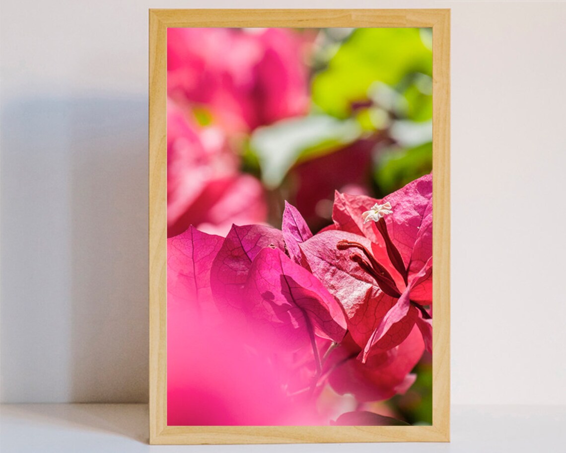 Set of 4 Botanical Print Set Flower Print Set Floral Print - Etsy