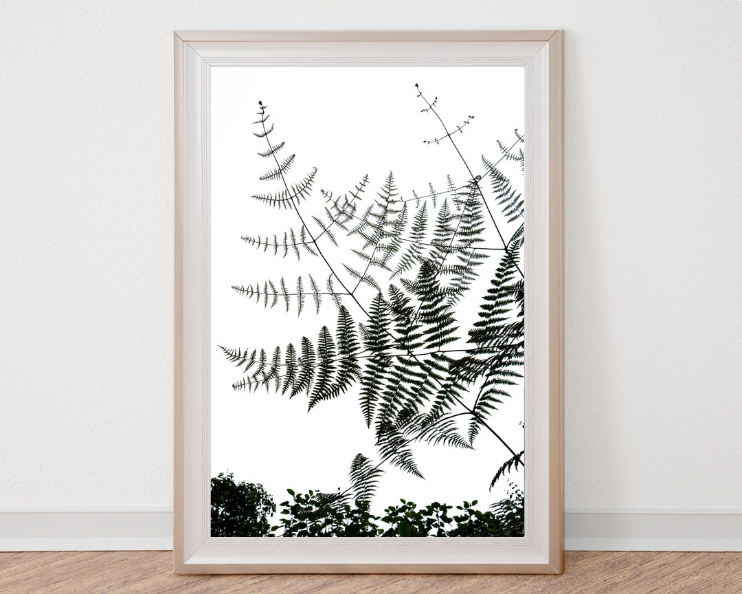 Fern Print, Fern Wall Art, Botanical Poster, Botanical Print, Boho ...