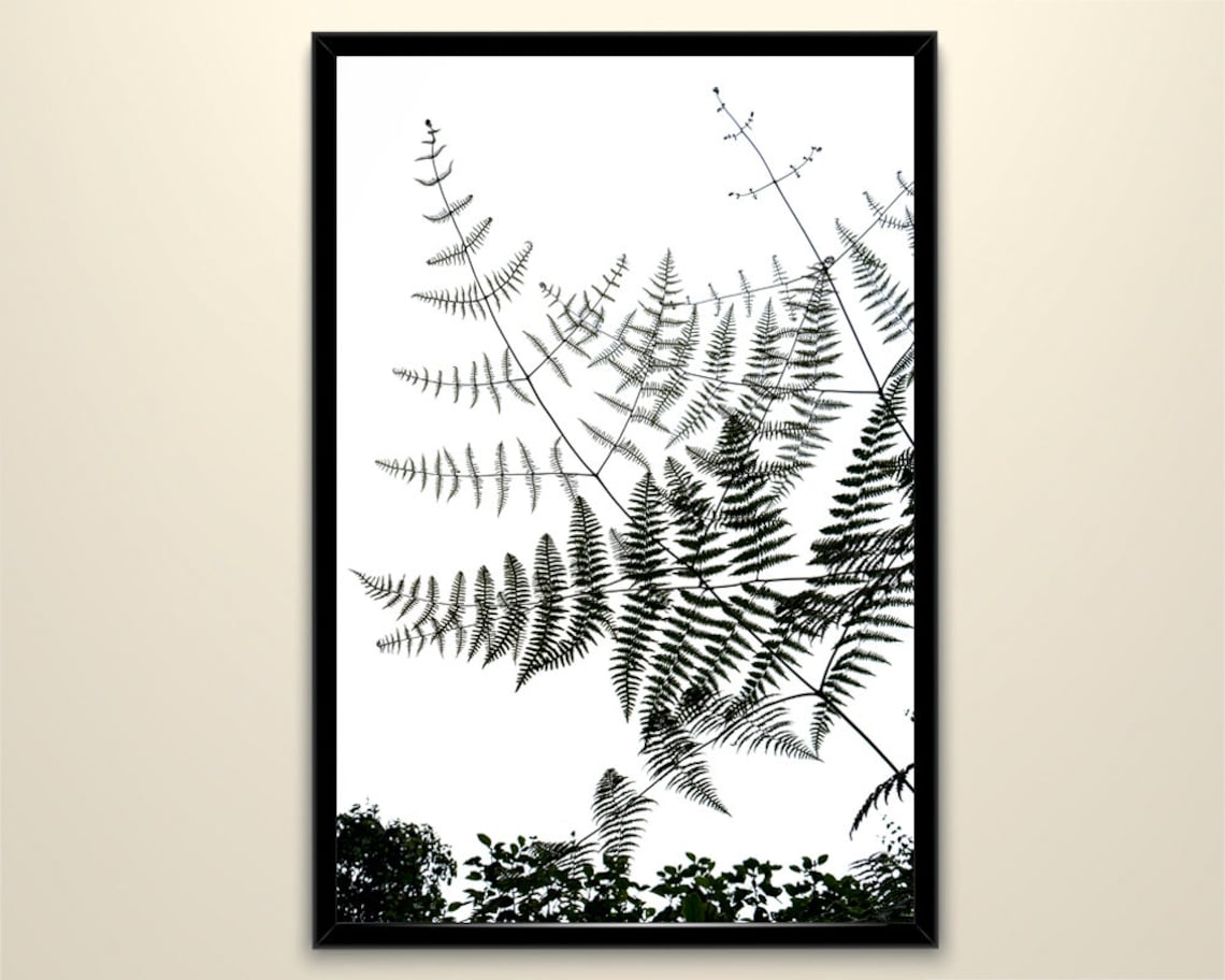 Fern Print, Fern Wall Art, Botanical Poster, Botanical Print, Boho ...