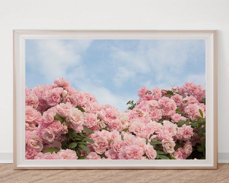 Set of 2, Roses Print, Flower Print, Floral Art, Pink Roses Photo ...
