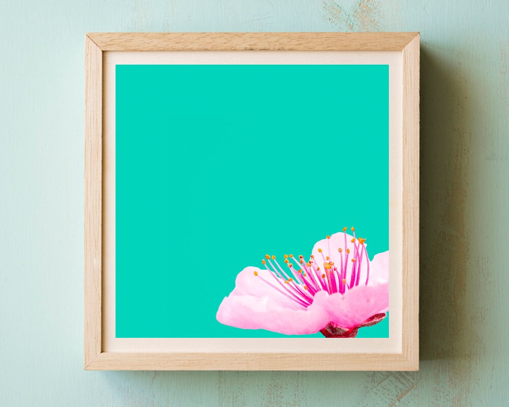 Set of 2 Flower Photography Pink Flowers Print Flower - Etsy