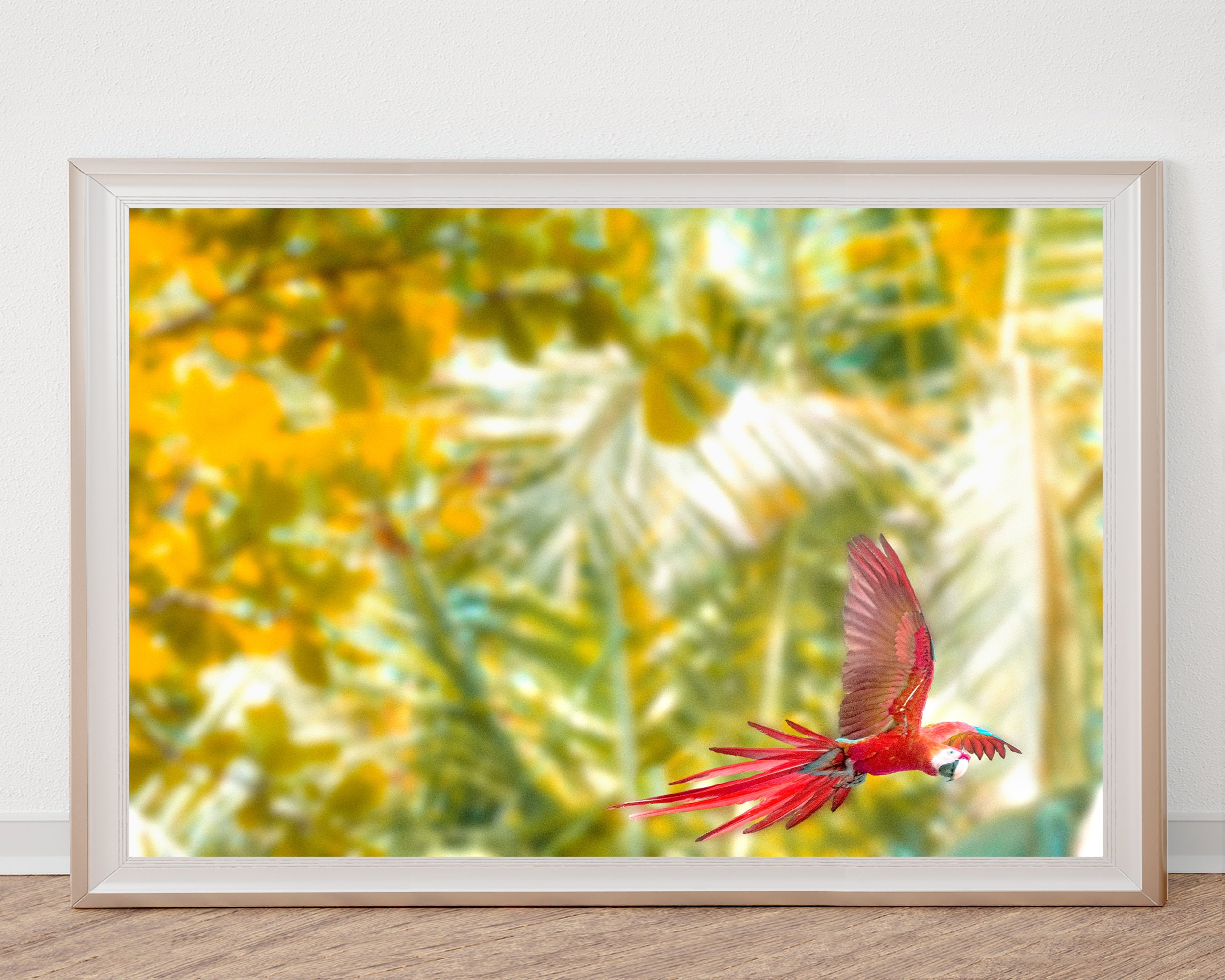 Parrot Print, Parrot Wall Art, Parrot Art Print, Flying Parrot, Parrot ...