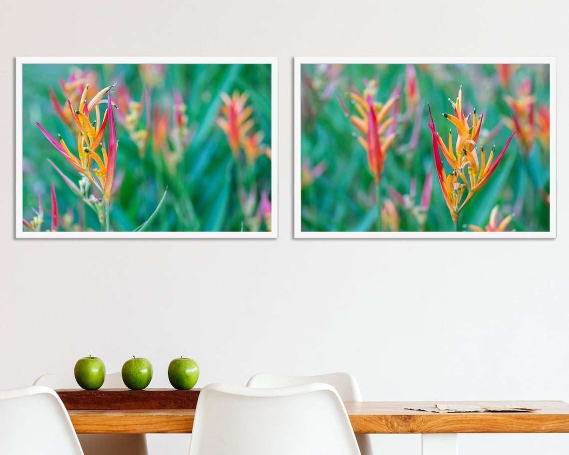 Tropical Flower Tropical Flower Photo Tropical Print | Etsy