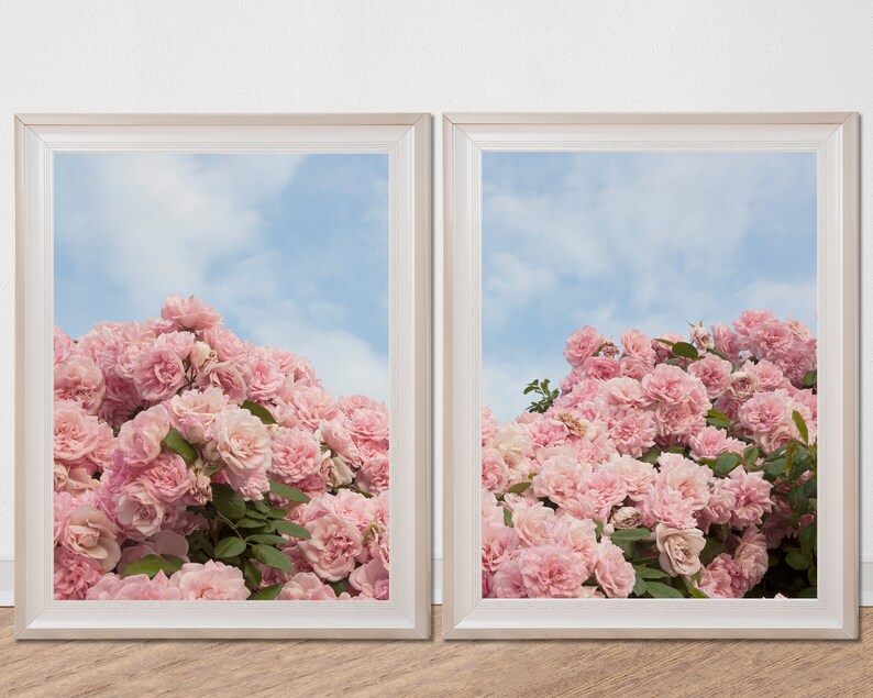 Set of 2, Roses Print, Flower Print, Floral Art, Pink Roses Photo ...