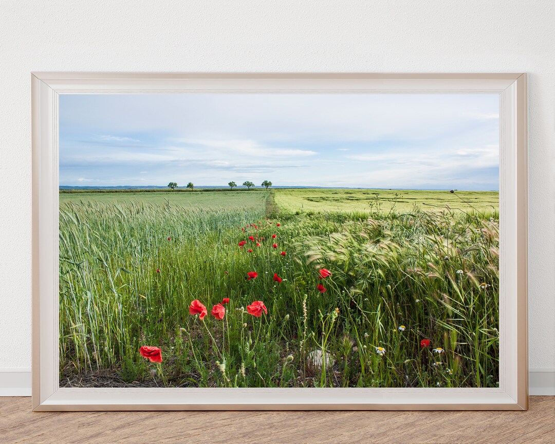 Landscape Photography, Landscape Print, Landscape Poster, Green Wall ...