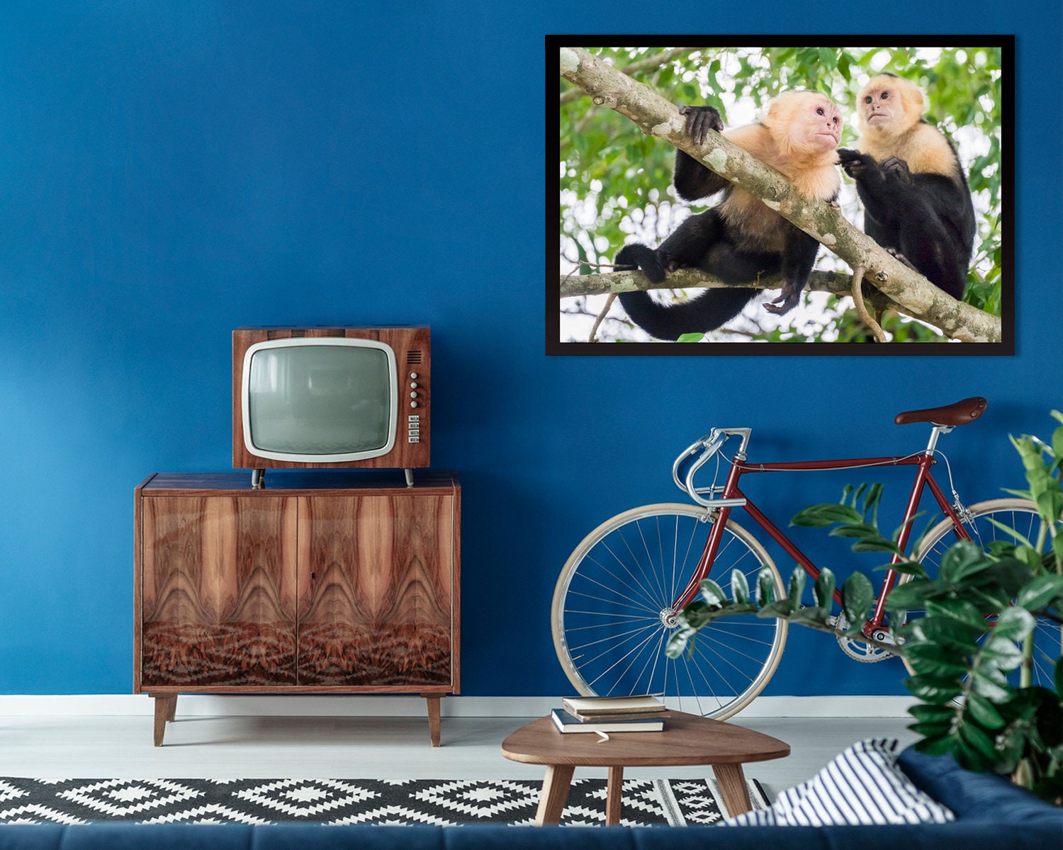 Monkey Photography, Monkey Photo Print, Monkey Wall Art Print ...