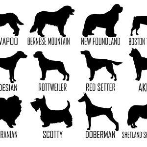 Dog Guard, Dog Stopper Personalised or Customisable Stair Gate, Pet ...