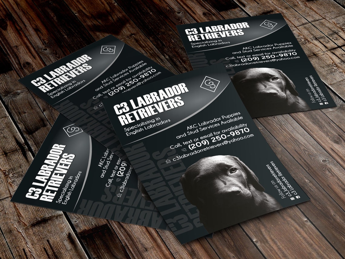 Editable Flyer Flyers Flyer Design Service Pamphlet Design - Etsy