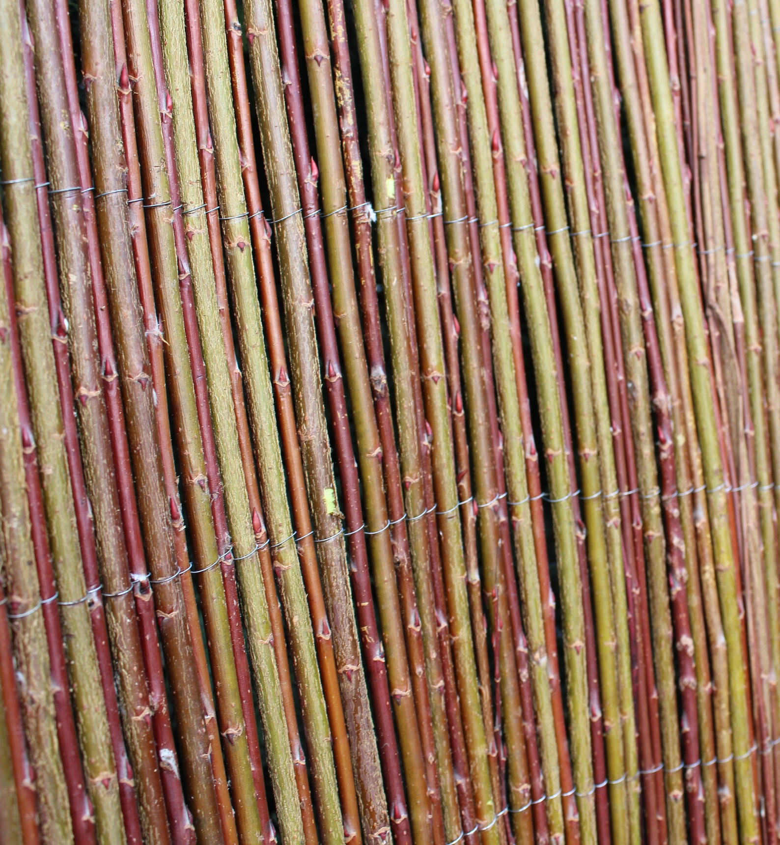 Willow Fence Screening Rolls - Etsy