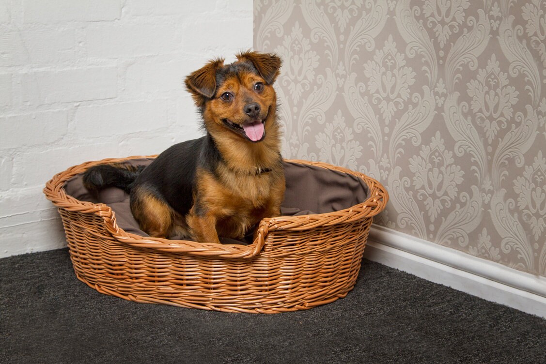 Luxury Wicker Dog Basket Dark Cushion - Etsy UK