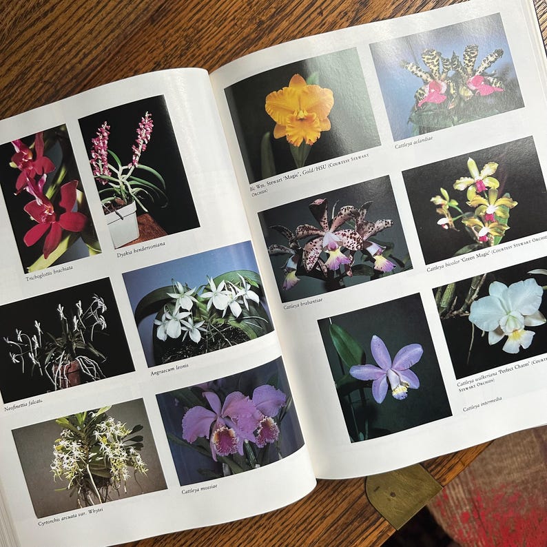 Home Orchid Growing, 1990 - Etsy