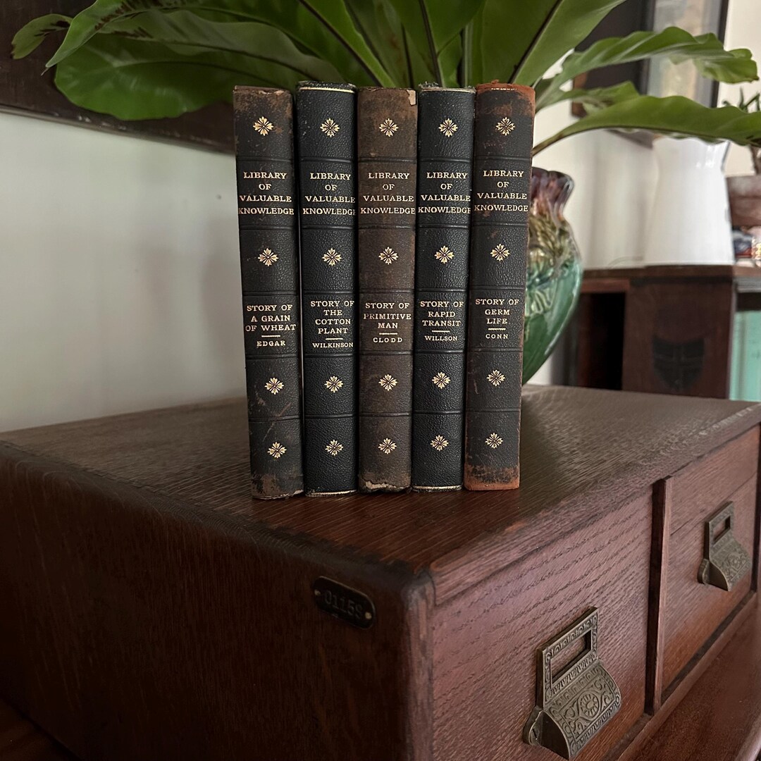 Library of Valuable Knowledge - 5 Volumes - 1913 - Etsy
