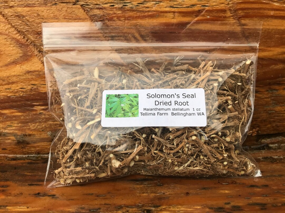 Star-flowered Solomon’s Seal Dried Root - Maianthemum Stellatum - Etsy