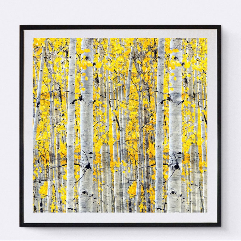 Birch Tree Art - Etsy