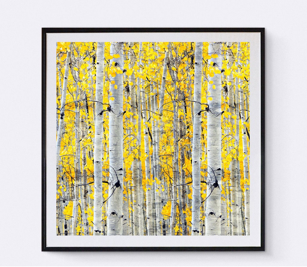 Birch Grove Print Birch Tree Art Print Downloadable Rustic | Etsy