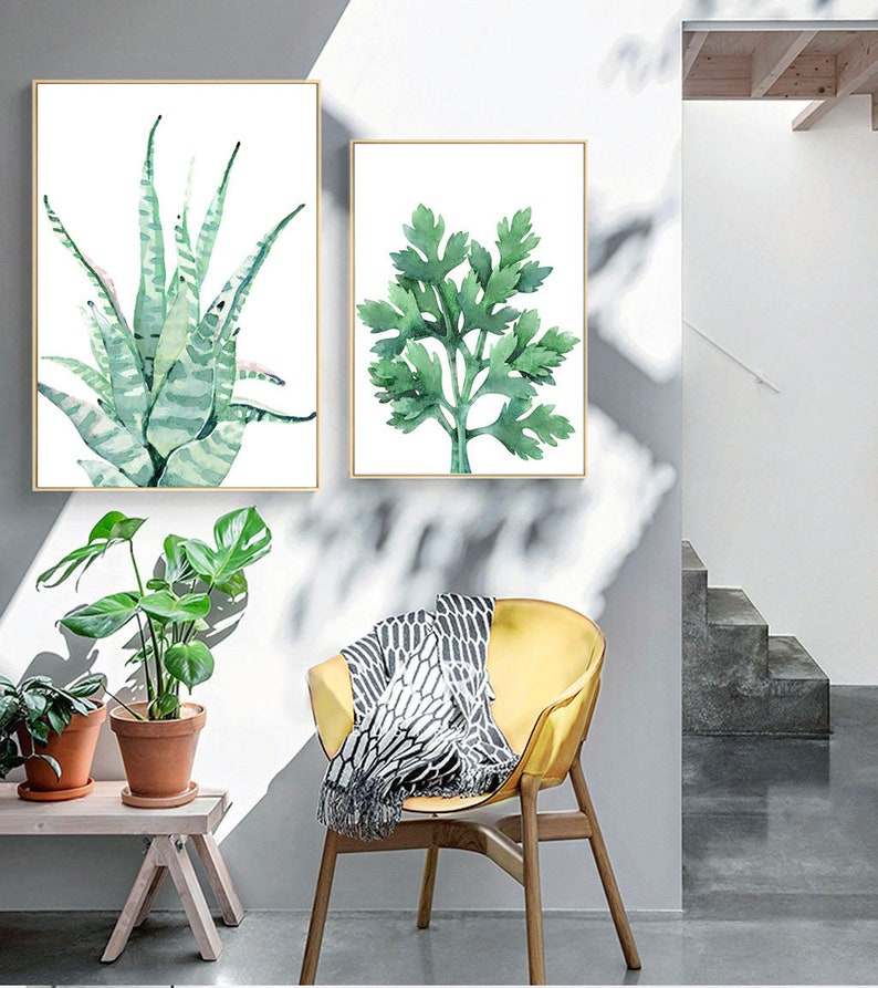 3 Sets of Aloe Vera Printable Digital Download Aloe Vera - Etsy