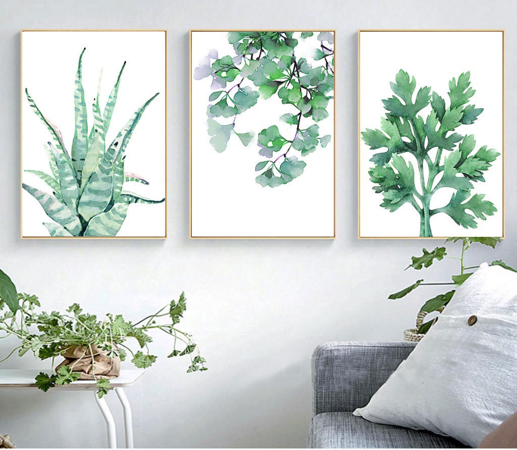 3 sets of aloe vera printable Digital Download Aloe Vera | Etsy