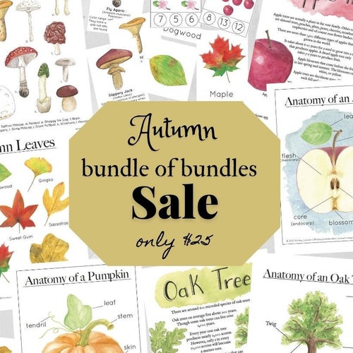 Into Autumn Fall Themed Bundle for Early Learners Digital | Etsy