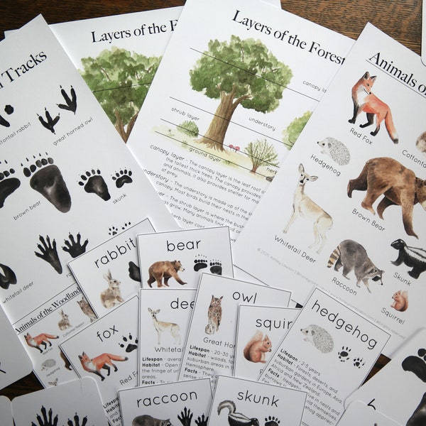 Woodland Forest - Etsy