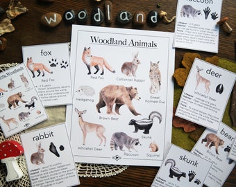 Mushroom Number Cards 1-10 Charlotte Mason Preschool - Etsy