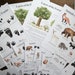 Woodland Animal Tracks Mini-poster and 3-part Cards - Etsy