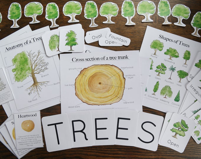 Bodies of Water Learning Kit: Flashcards & Matching Game (PDF Download ...