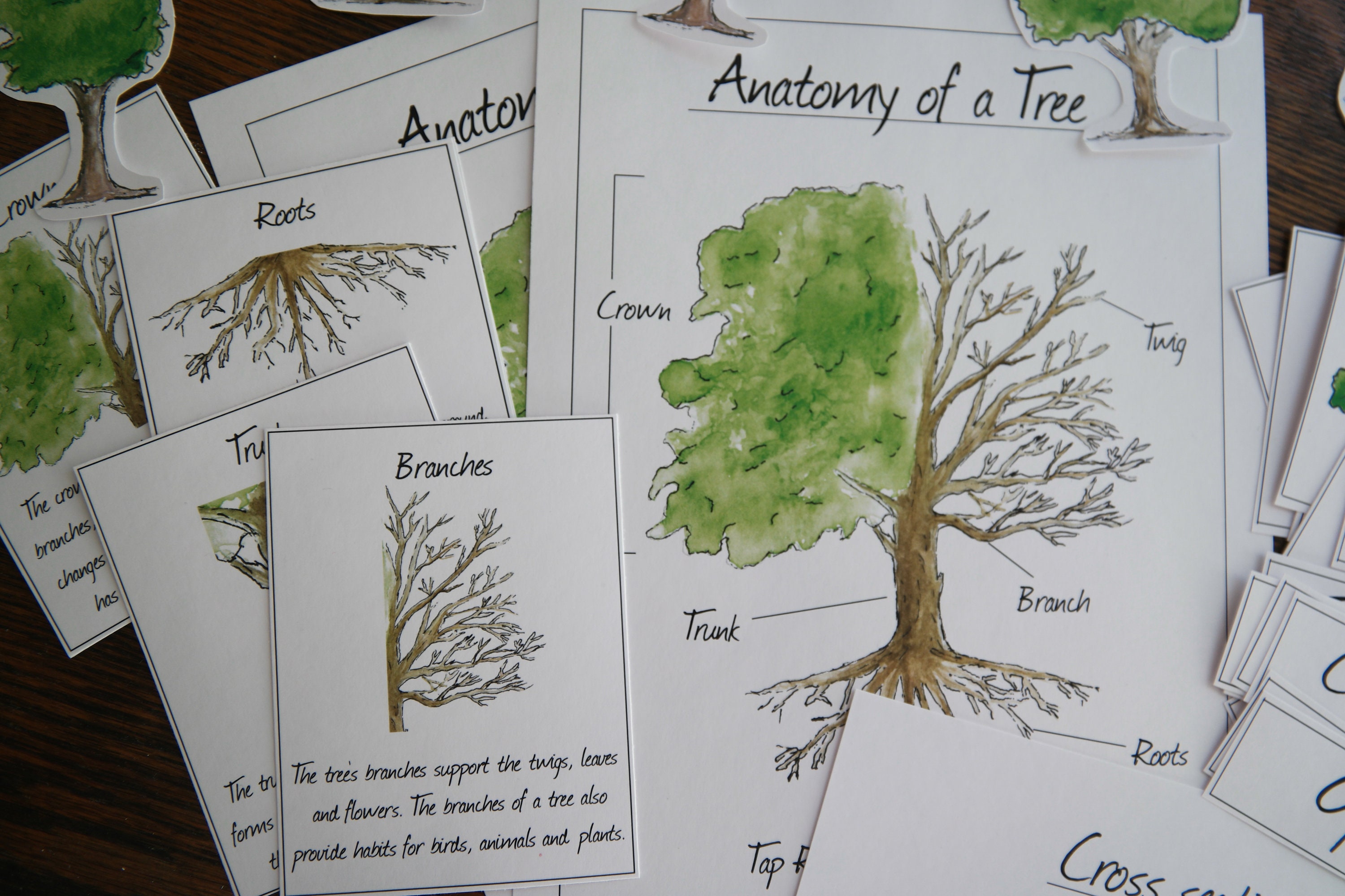 Tree studies bundle Hard copy | Etsy