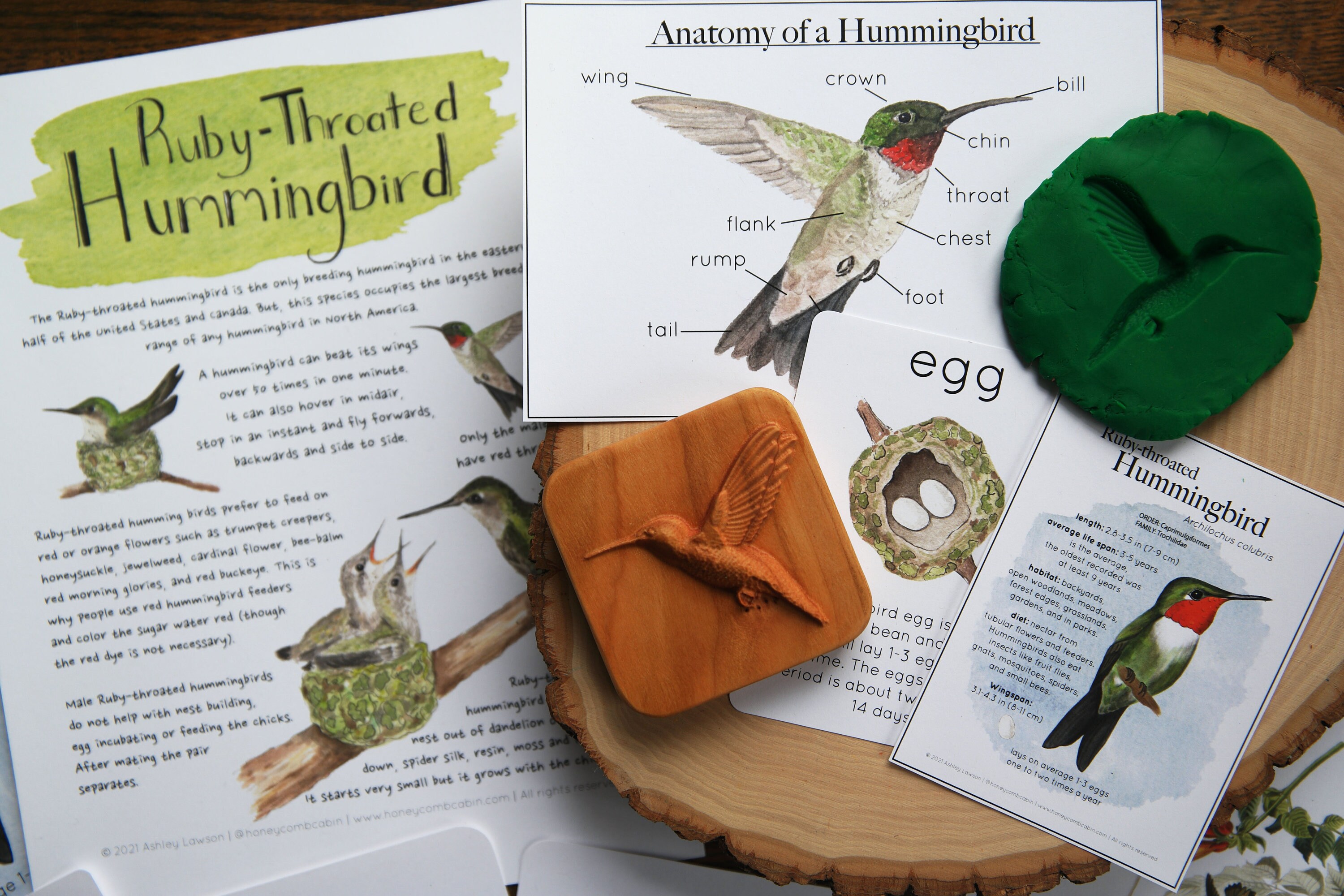 Ruby-throated Hummingbird set Charlotte Mason Nature Journal | Etsy