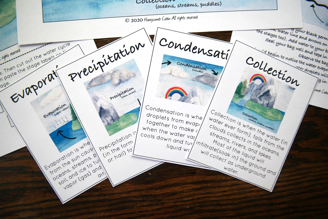 Water Cycle Poster, Cards, Activity and Assessment - Etsy