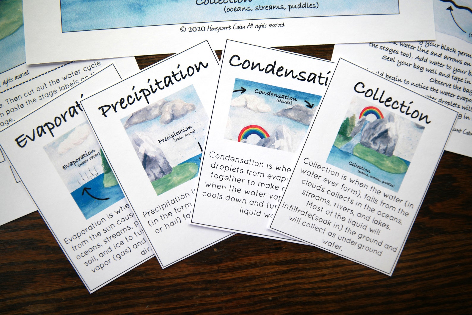 Water Cycle Poster Cards Activity and Assessment - Etsy