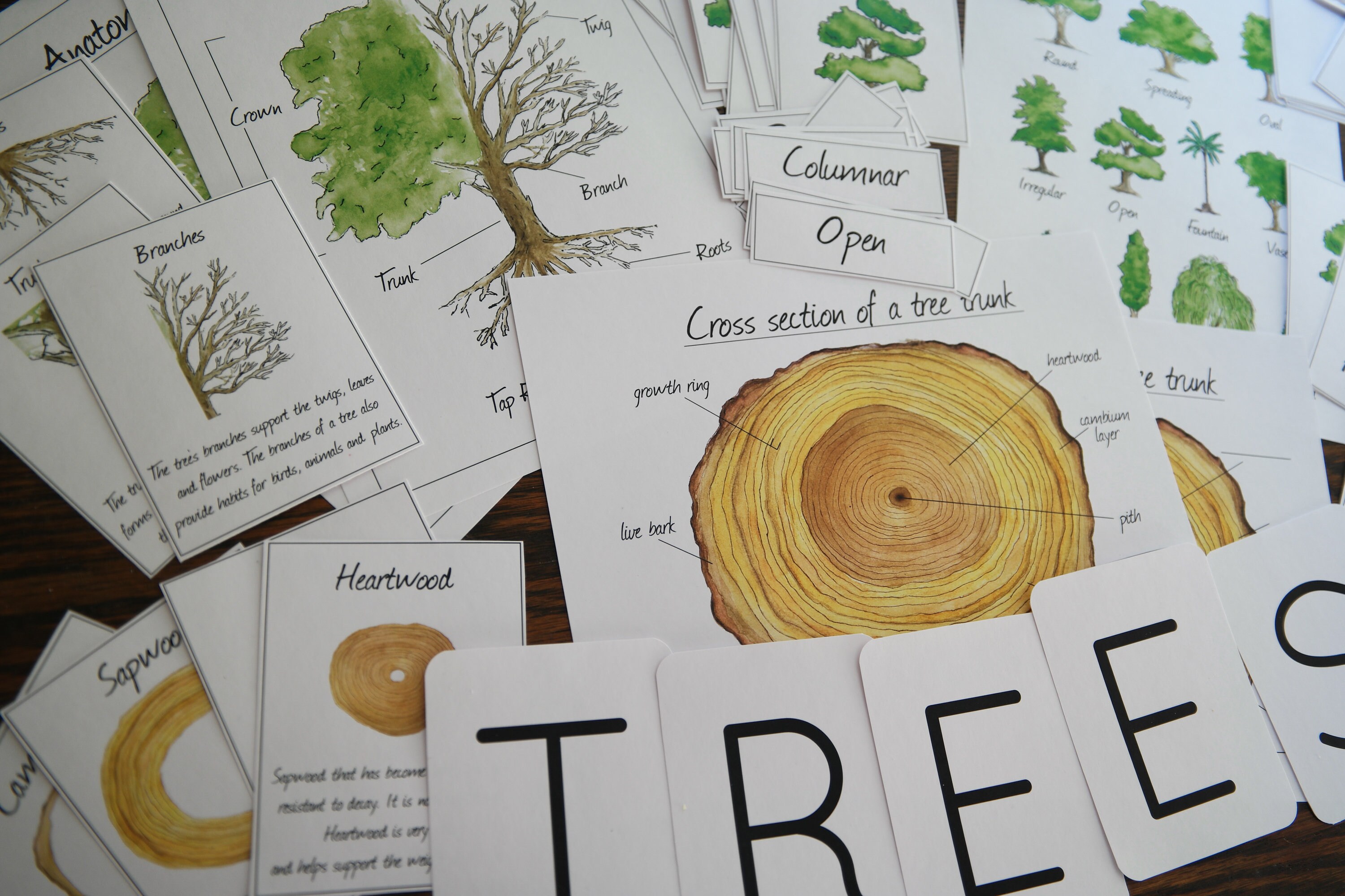 Tree studies bundle Hard copy | Etsy