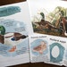 Mallard Duck Educational Printable Learning Set - Etsy