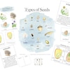 Weather Chart and Weather Cards | Homeschool Daily Rhythm Nature ...