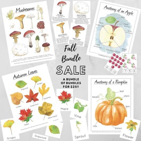 Mega Sale Bundle of Bundles Fall Charlotte Mason | Etsy