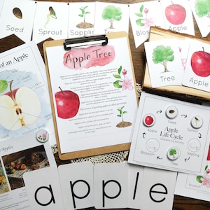 Mega Sale Bundle of Bundles - Fall | Charlotte Mason, Homeschool ...