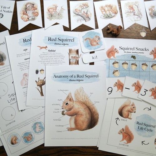 Squirrel Learning Bundle Charlotte Mason Homeschool Autumn - Etsy