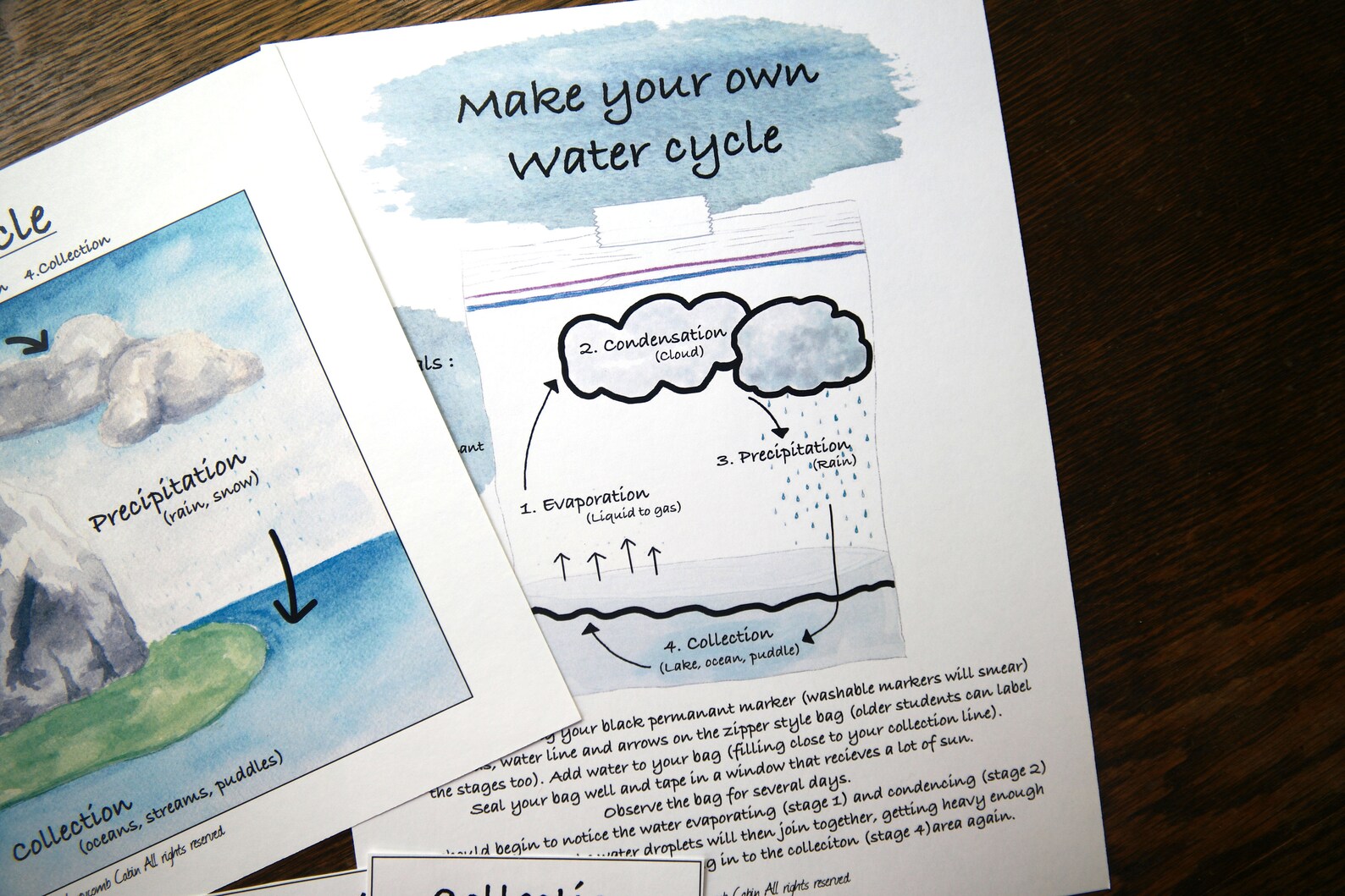 Water Cycle Poster Cards Activity and Assessment - Etsy