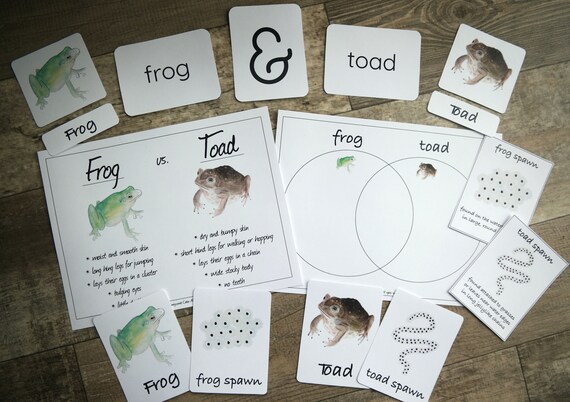 Frog vs Toad learning set Nature study Charlotte Mason | Etsy