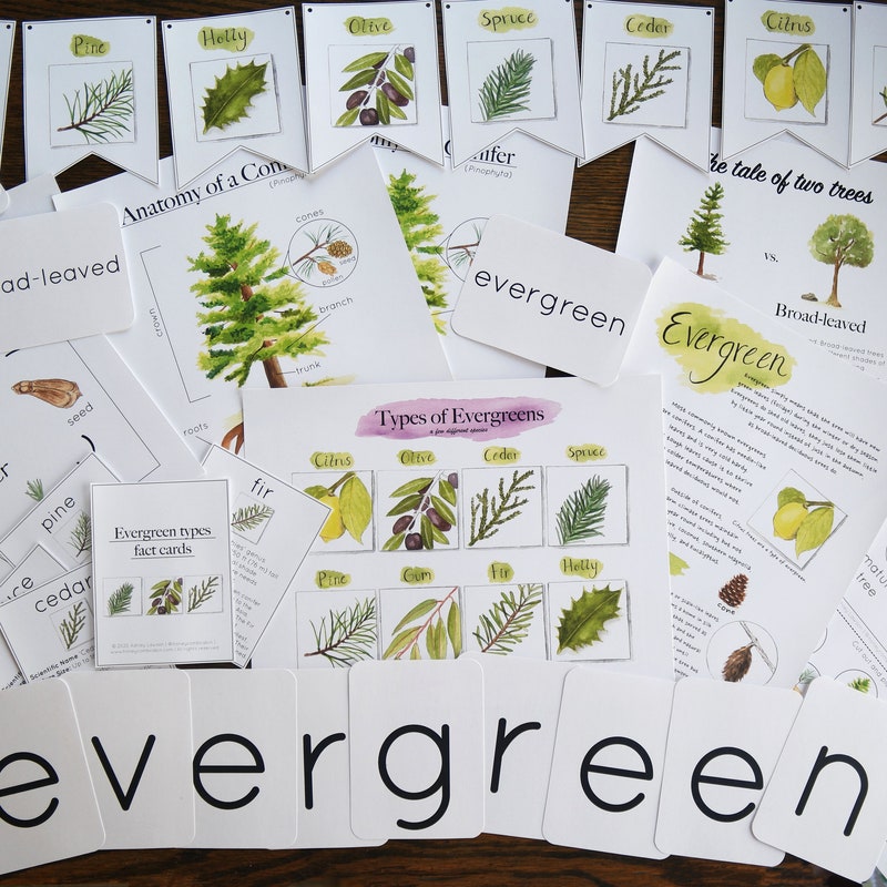 HoneycombCabin - Etsy