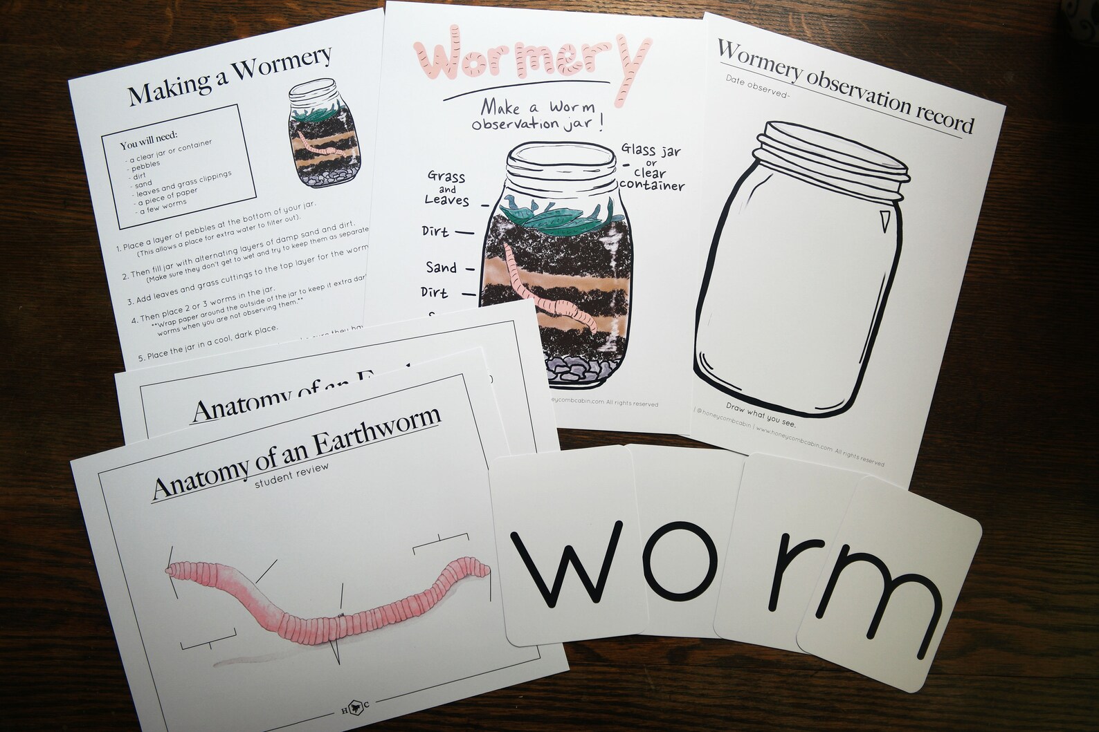 Anatomy of a Worm and Wormery Activity With Record | Charlotte Mason ...