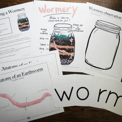 Anatomy of a Worm and Wormery Activity With Record Charlotte - Etsy