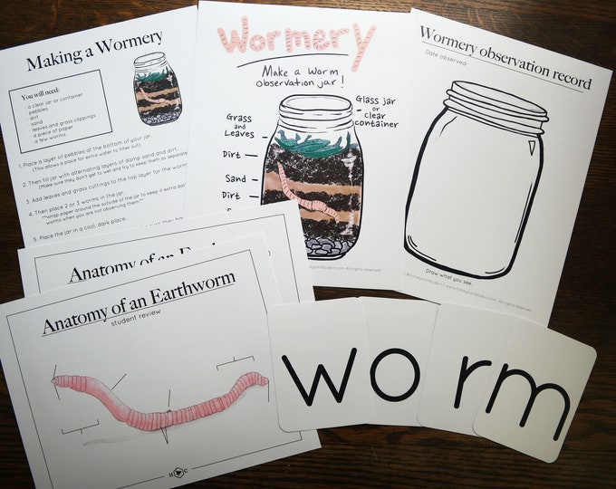 Anatomy of a Worm and Wormery Activity With Record Charlotte - Etsy