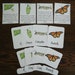 Monarch Butterfly Life Cycle Cards Informational and 3-part | Etsy